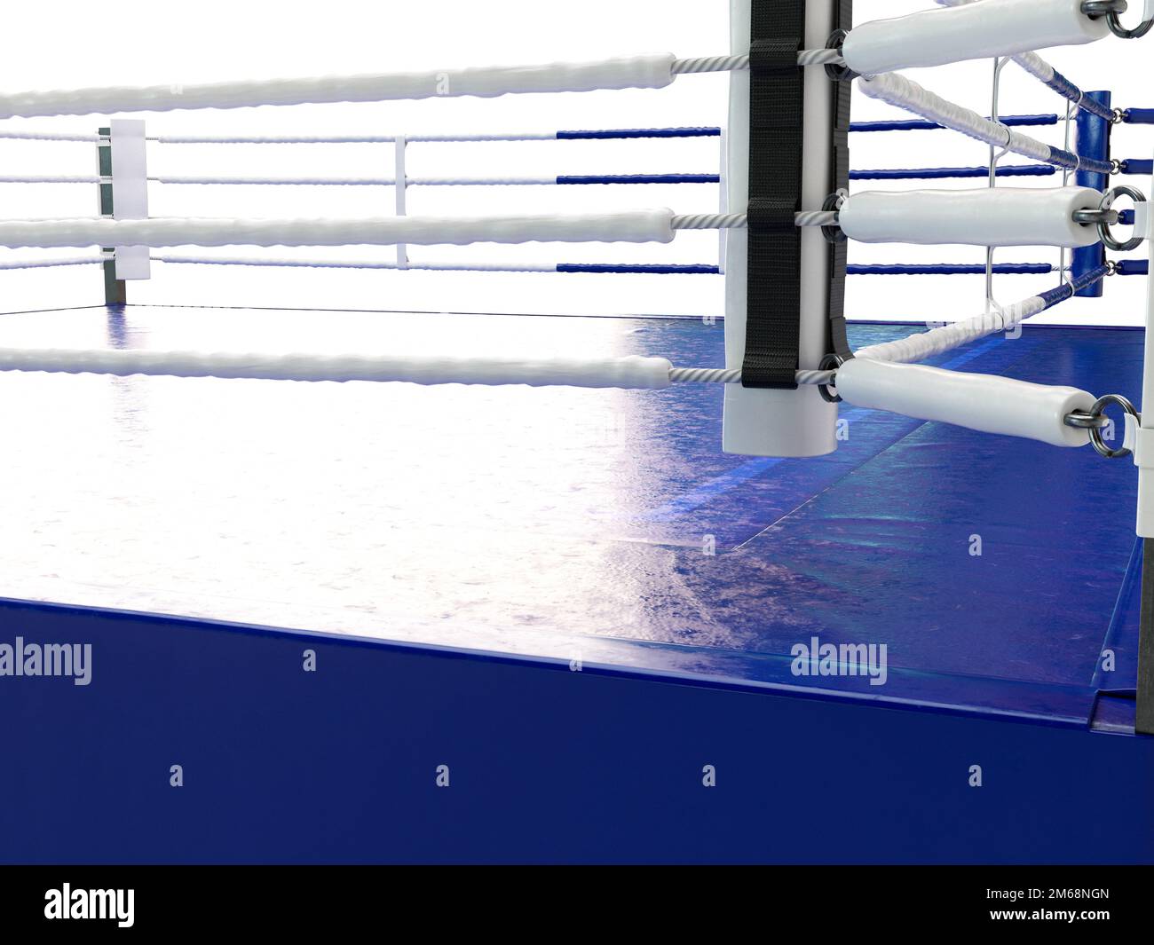 A modern oversized boxing ring with opposing blue and red corners on an ...