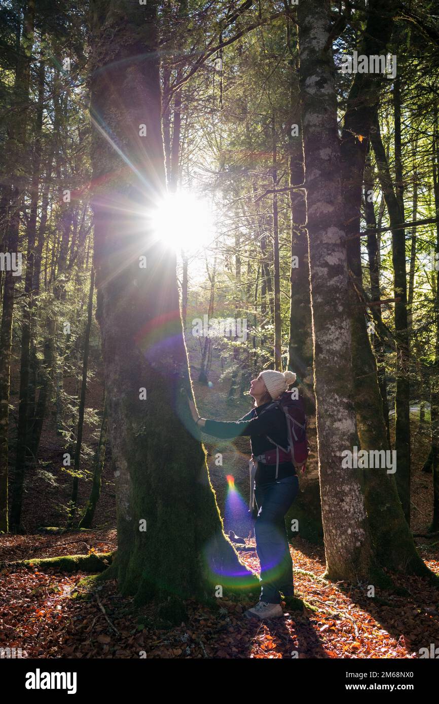 Mountaineer woman talking to a tree with sunburst Stock Photo - Alamy