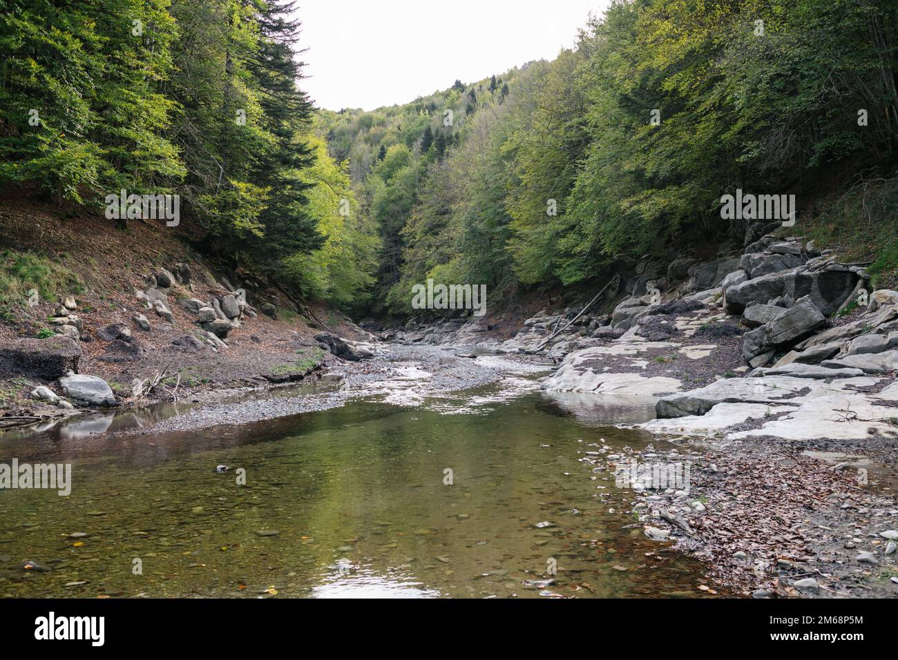 River landscape in an autumn forest of the Spanish Pyrenees Stock Photo ...