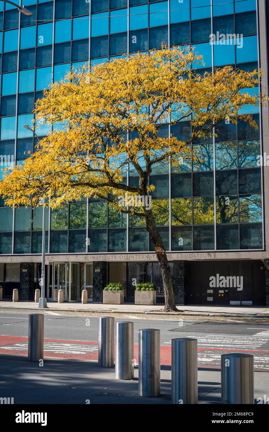 1st avenue, Midtown Manhattan, New York City, USA Stock Photo - Alamy