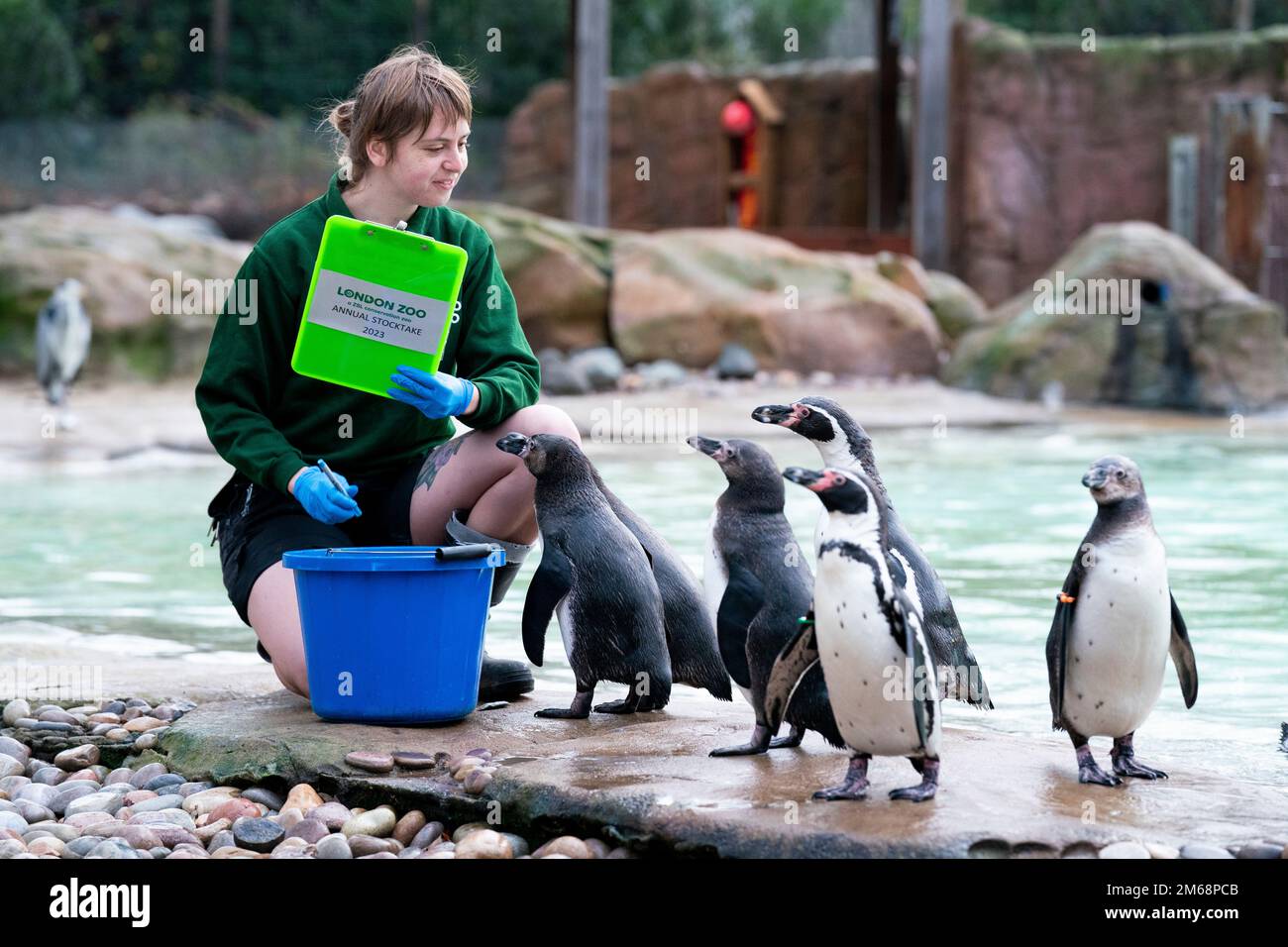 Zoo licence hi-res stock photography and images - Alamy