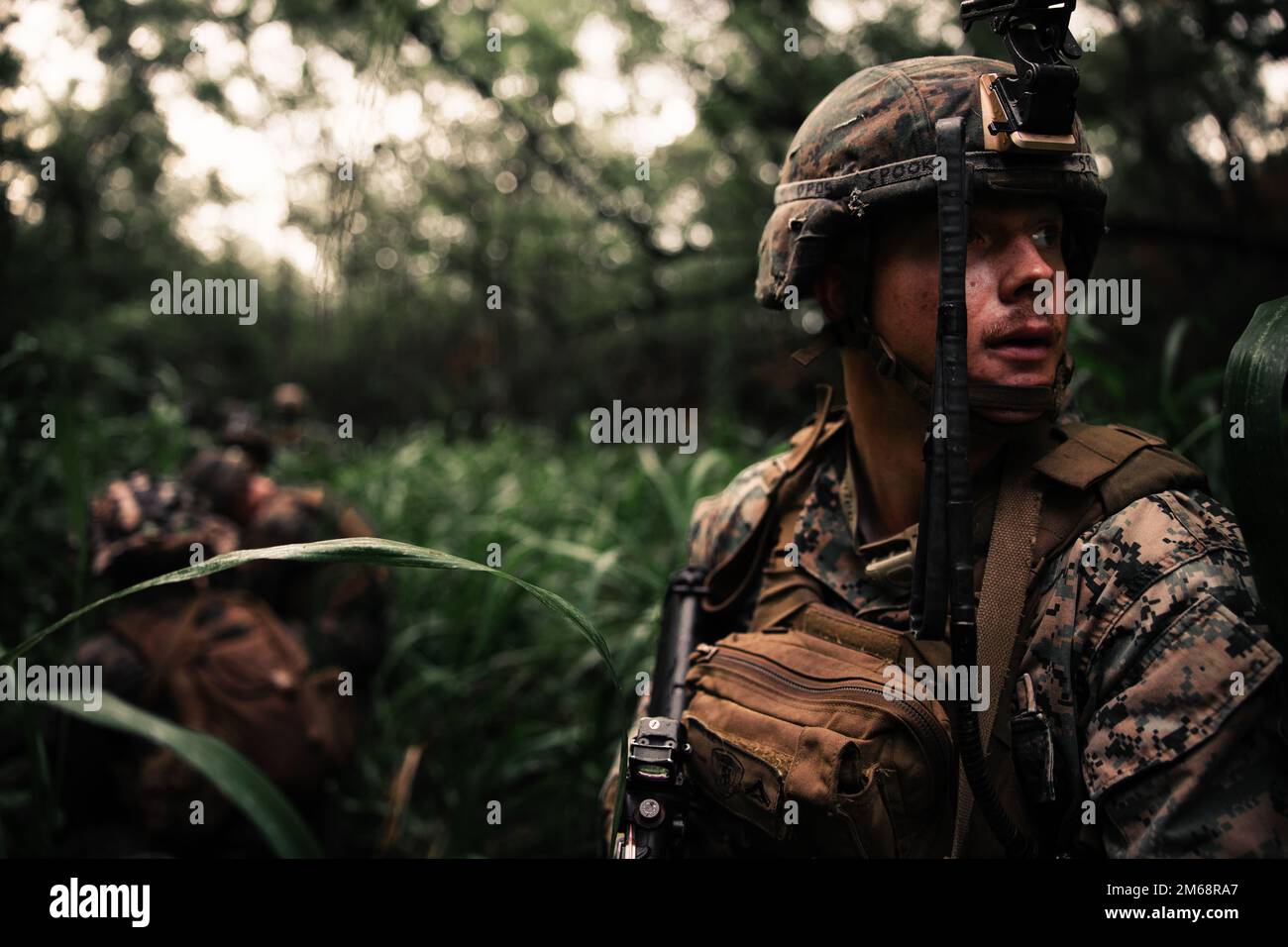 U.S. Marine Corps Lance Cpl. Kyle Cook, a student in the Advanced ...