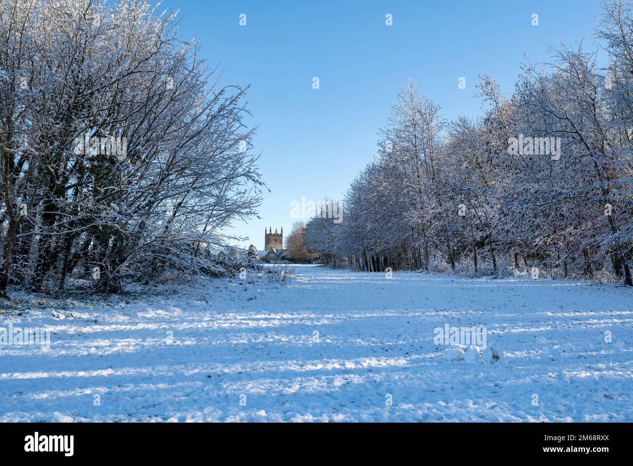 Beechwood park in the december snow. Stow on the wold, Cotswolds ...