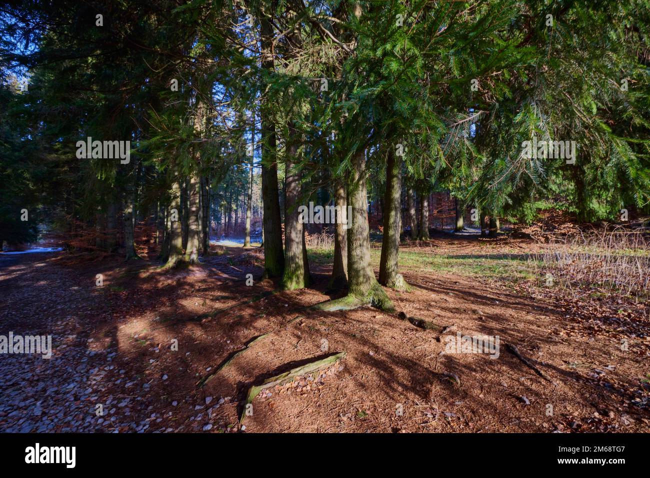 Beautiful landscape with St. Ana Lake in Romania, volcanic lake in ...