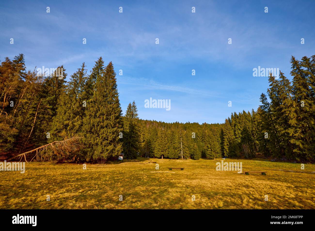 Beautiful landscape with St. Ana Lake in Romania, volcanic lake in ...