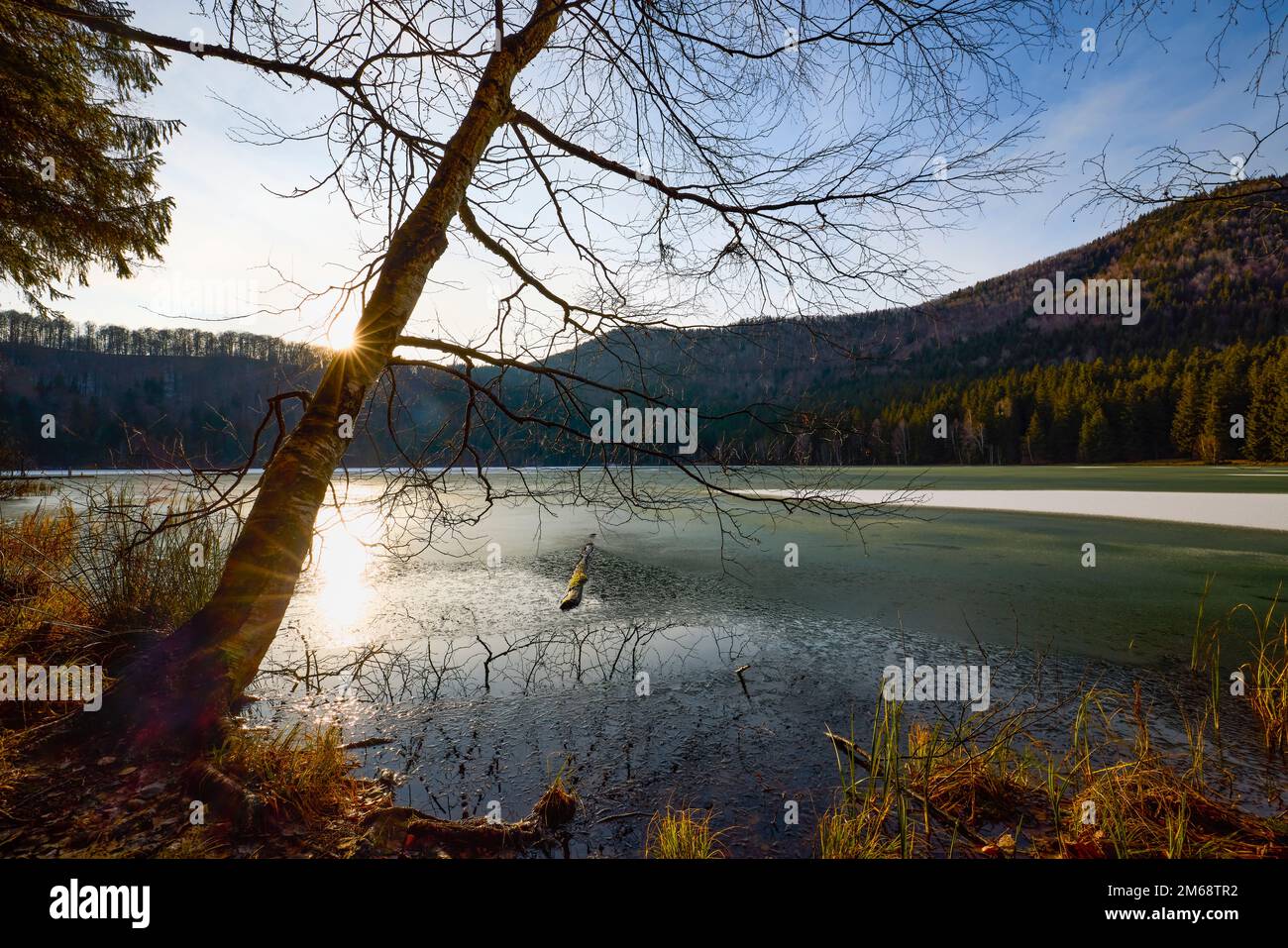 Beautiful landscape with St. Ana Lake in Romania, volcanic lake in ...