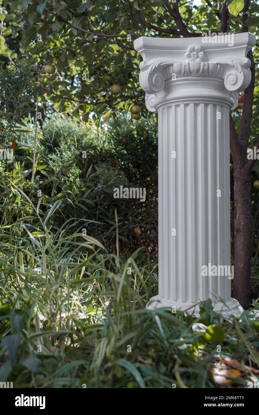 Elements of architectural decorations of buildings, columns and tops ...