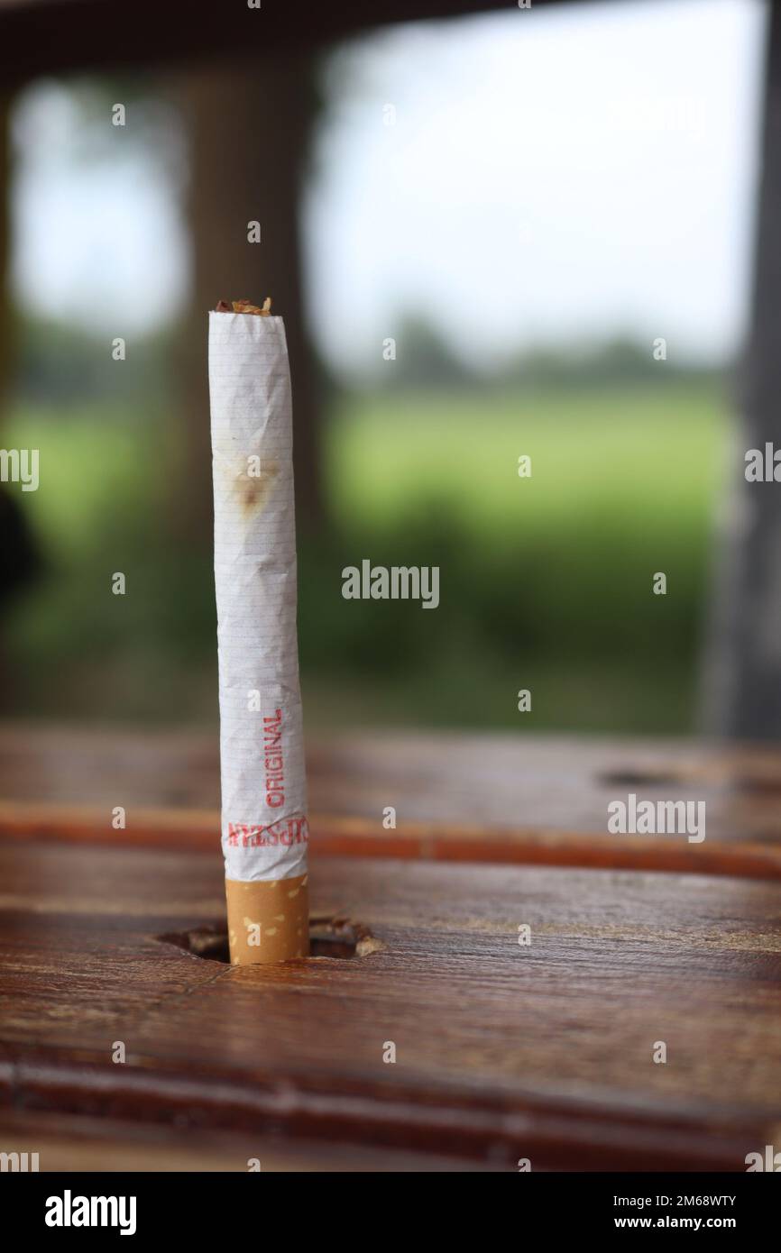 The life-destroying thing. cigarette, will damage the lungs and also ...