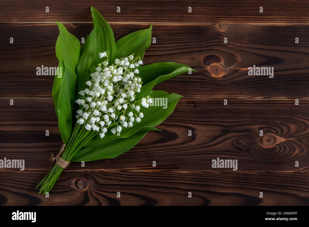 Small and fragrant spring flowers. Bouqet of lily of the valley flowers ...