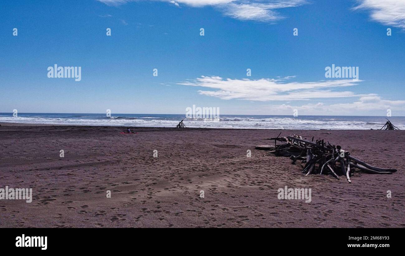 The wood sticks gathered on each other on the Goat Rock beach of Jenner ...