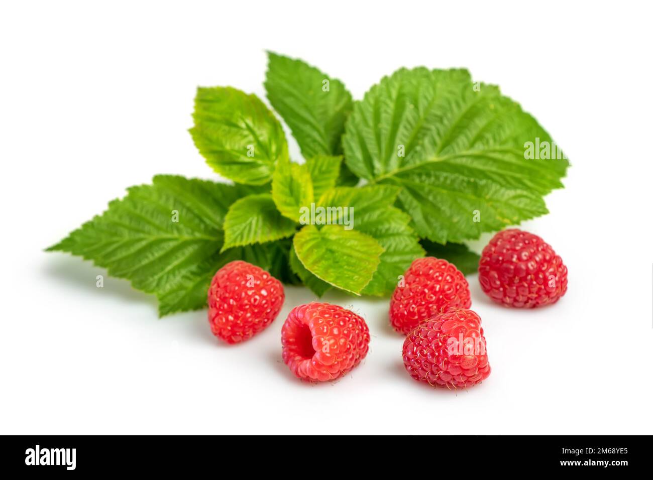 Isolated berries. Pile of raspberry fruits with leaves isolated on ...