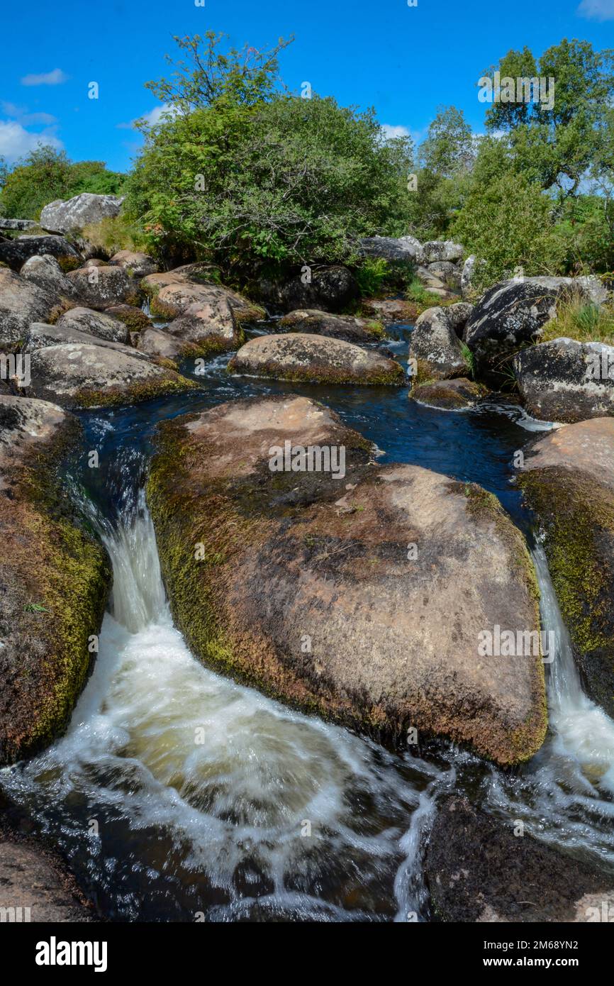 The North Teign River not far from it's head on Dartmoor Stock Photo ...
