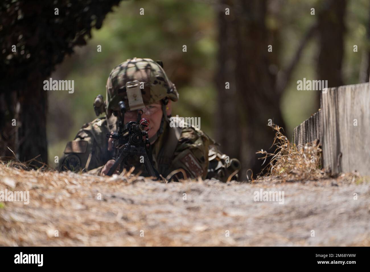 Winners shoot competition hi-res stock photography and images - Alamy