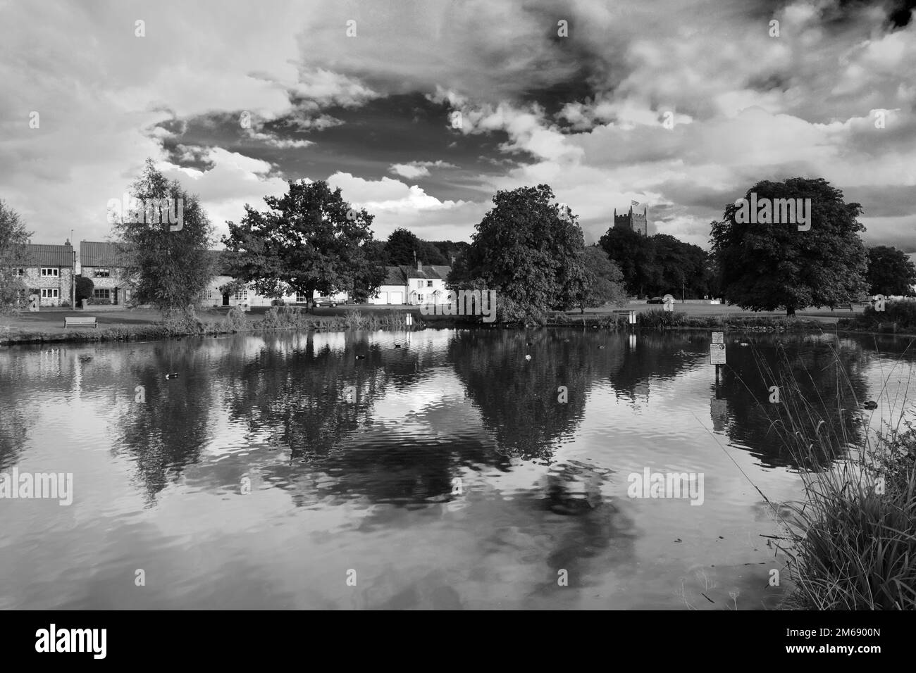 View over the duck pond at Great Massingham village, North Norfolk ...