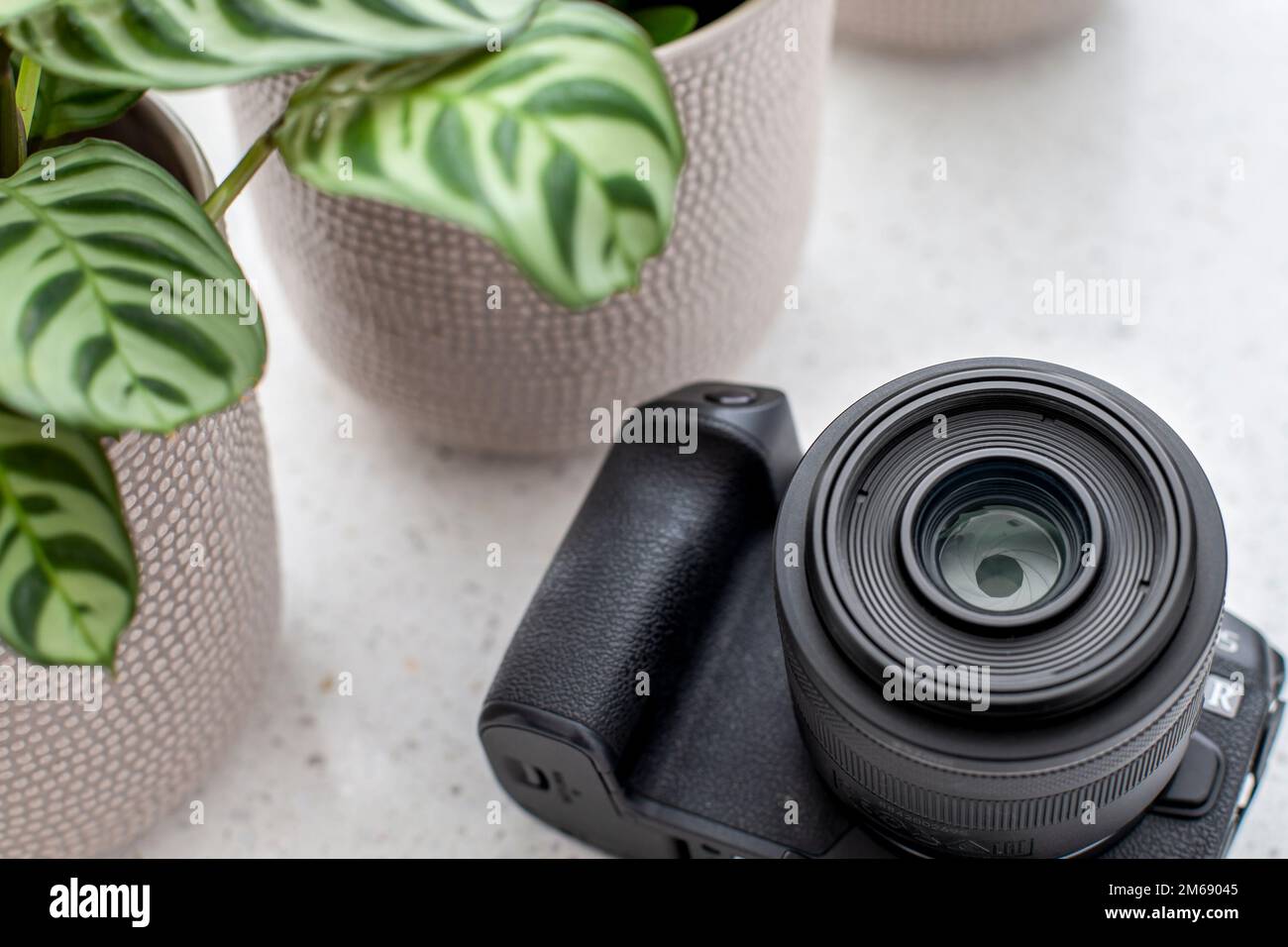 Professional photographer vector hi-res stock photography and images ...