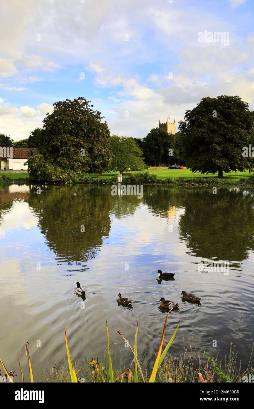 View over the duck pond at Great Massingham village, North Norfolk ...