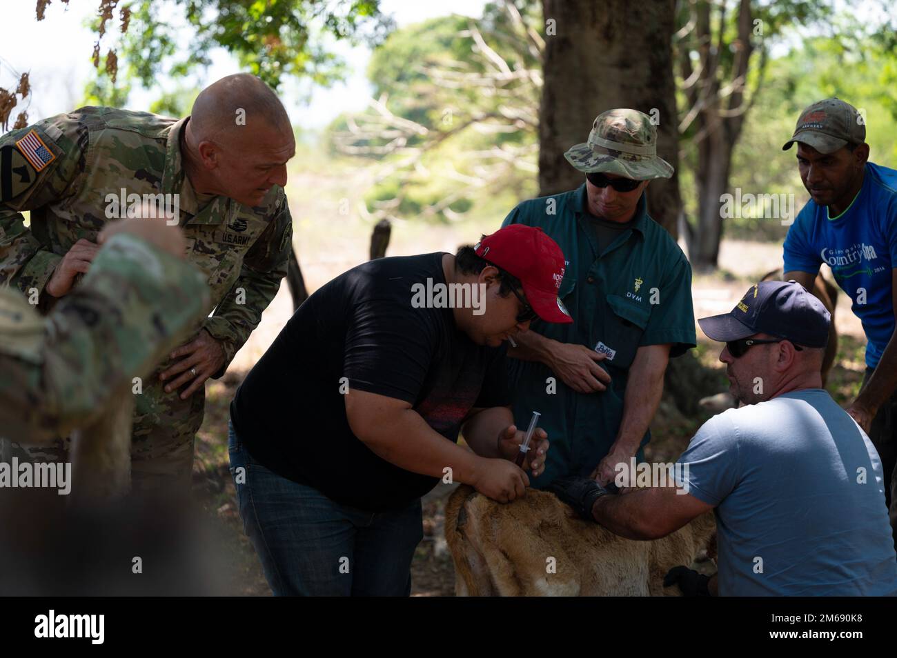 Joint Task Force-Bravo service members help lead a cow April 20, 2022 ...