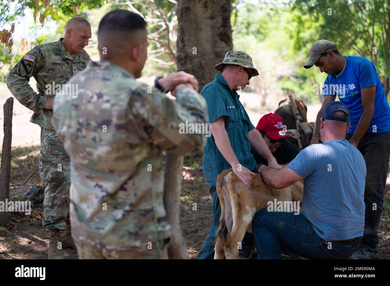 Vetrete hi-res stock photography and images - Alamy