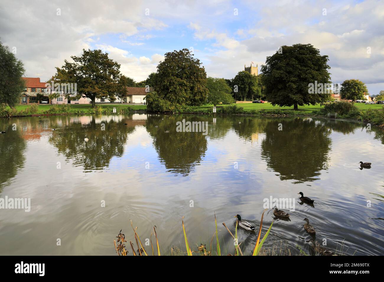 View over the duck pond at Great Massingham village, North Norfolk ...