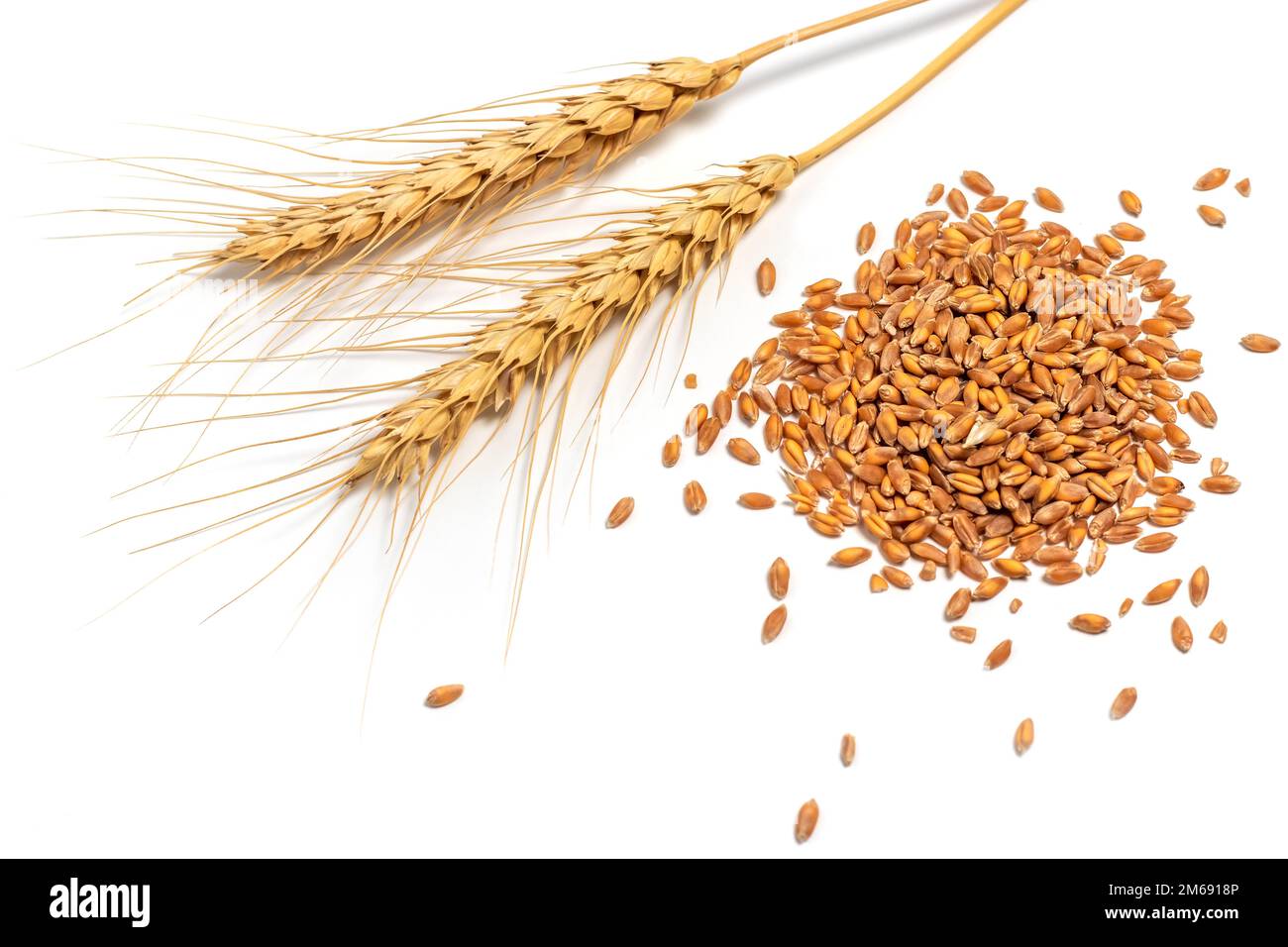 Grain and ears of wheat isolated on white background. Top view Stock ...
