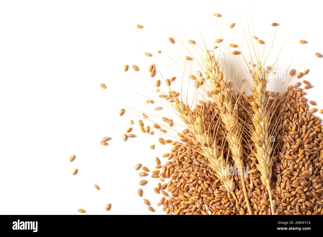 Grain and ears of wheat isolated on white background. Top view Stock ...