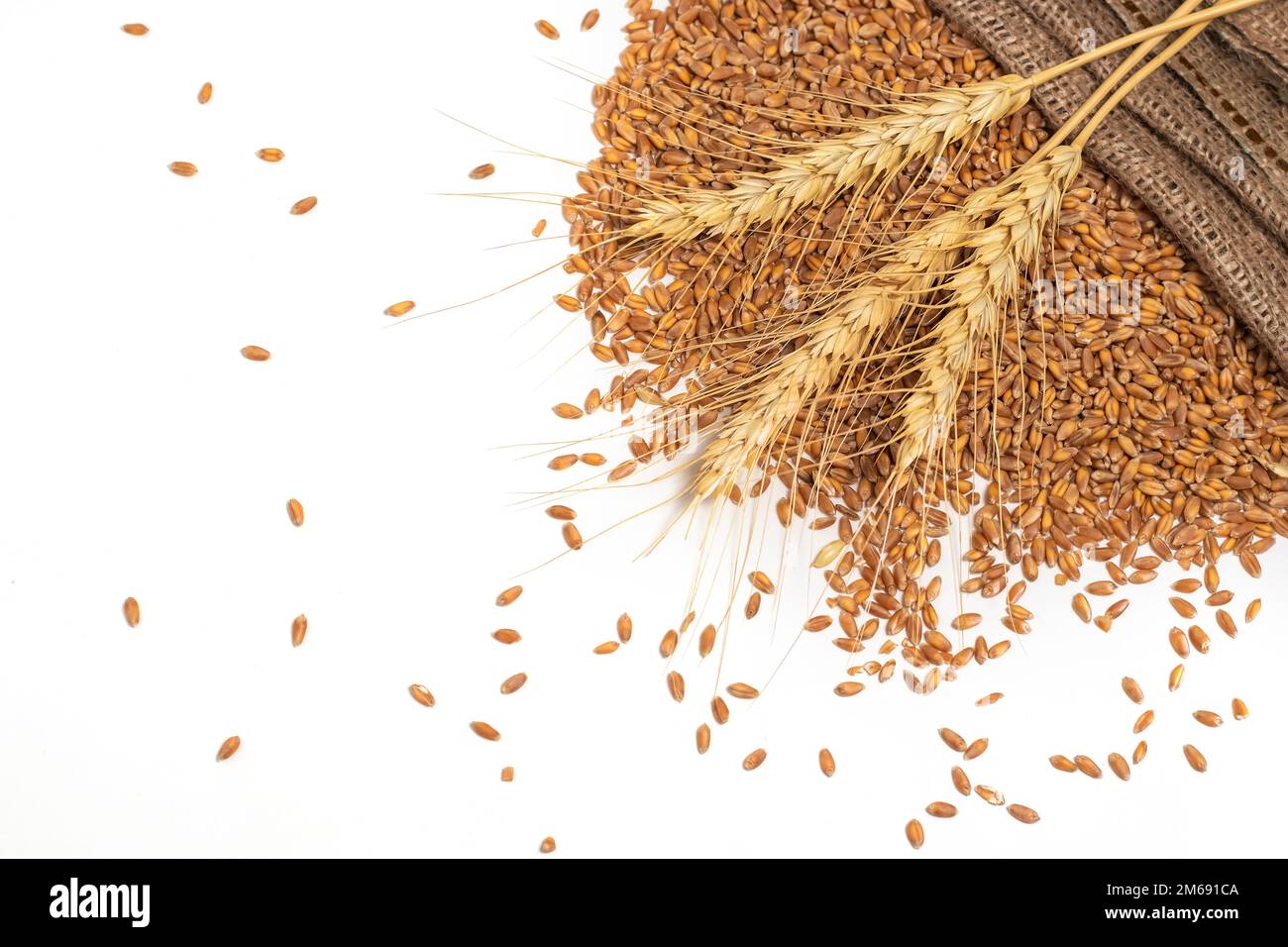 Spikelets of wheat and grain on the white background Stock Photo - Alamy