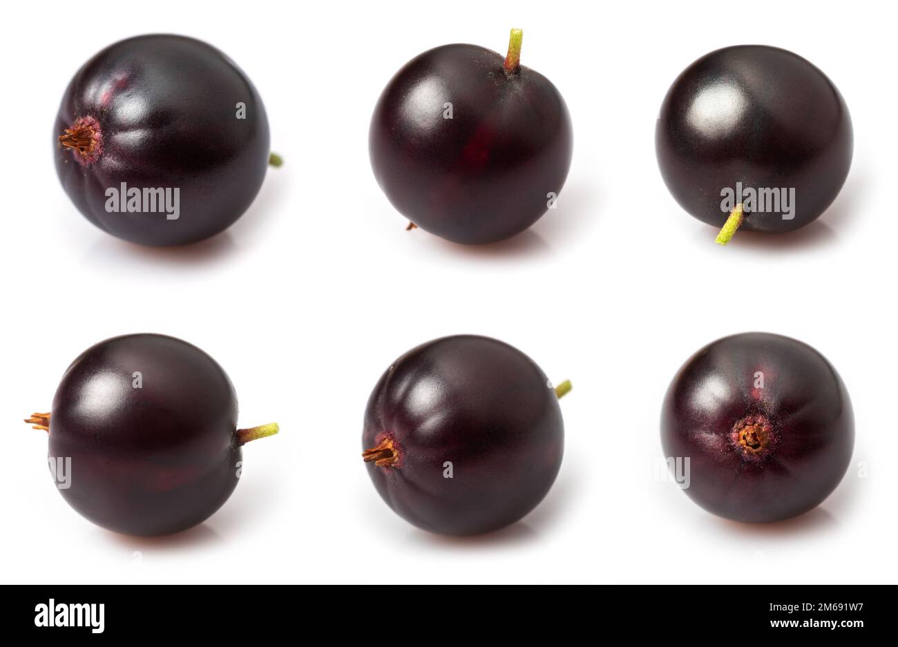 Gooseberry blackcurrant hybrid hi-res stock photography and images - Alamy