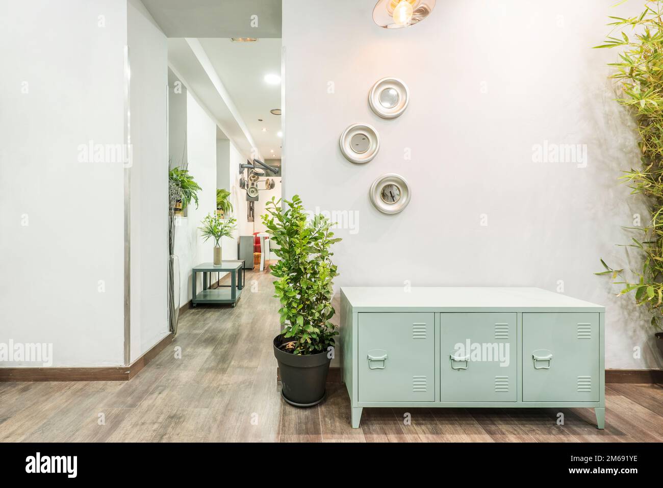 Living room with hallway with metal appliance, decorative plants and ...