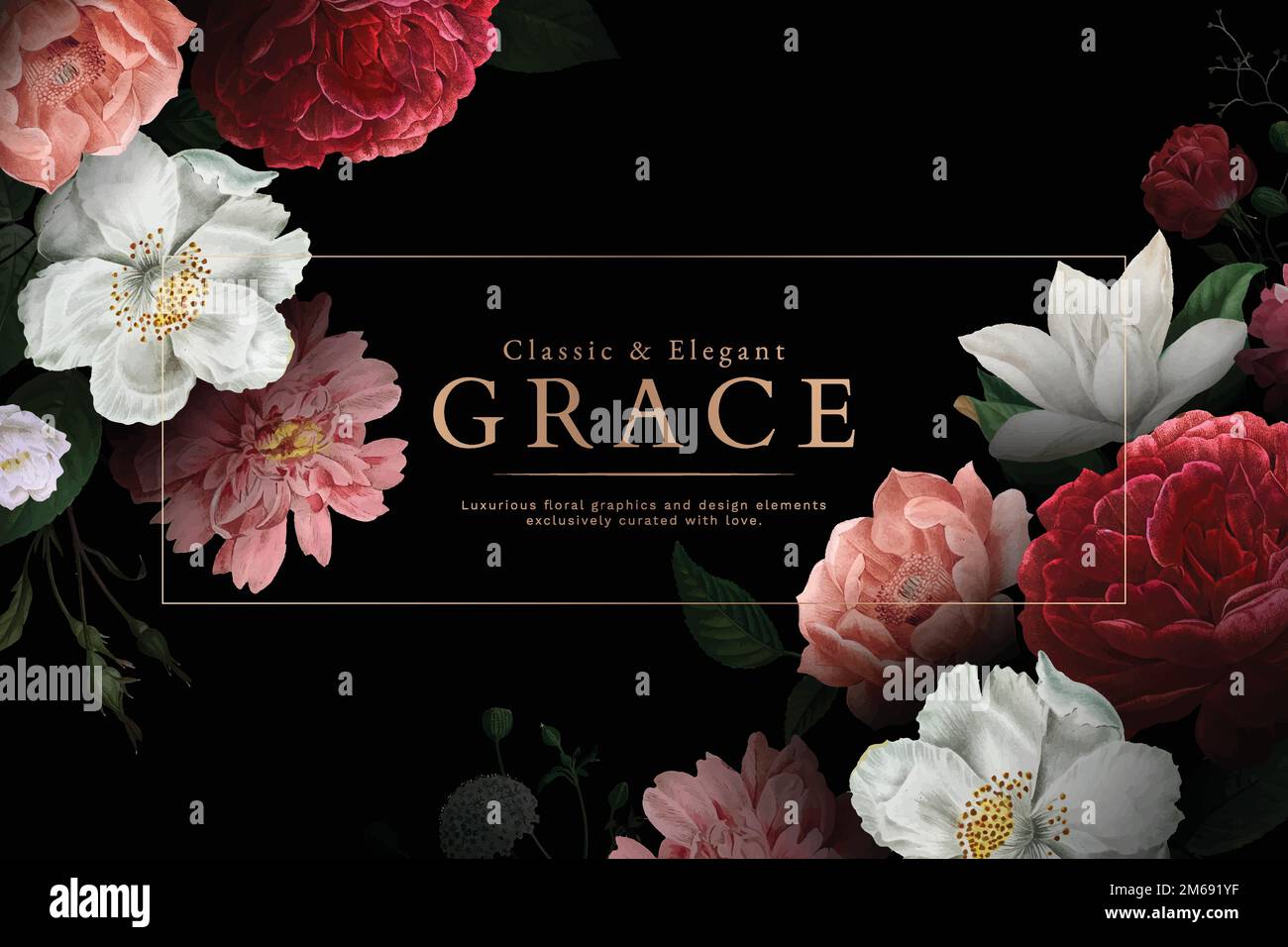 Floral grace rose themed banner vector Stock Vector Image & Art - Alamy