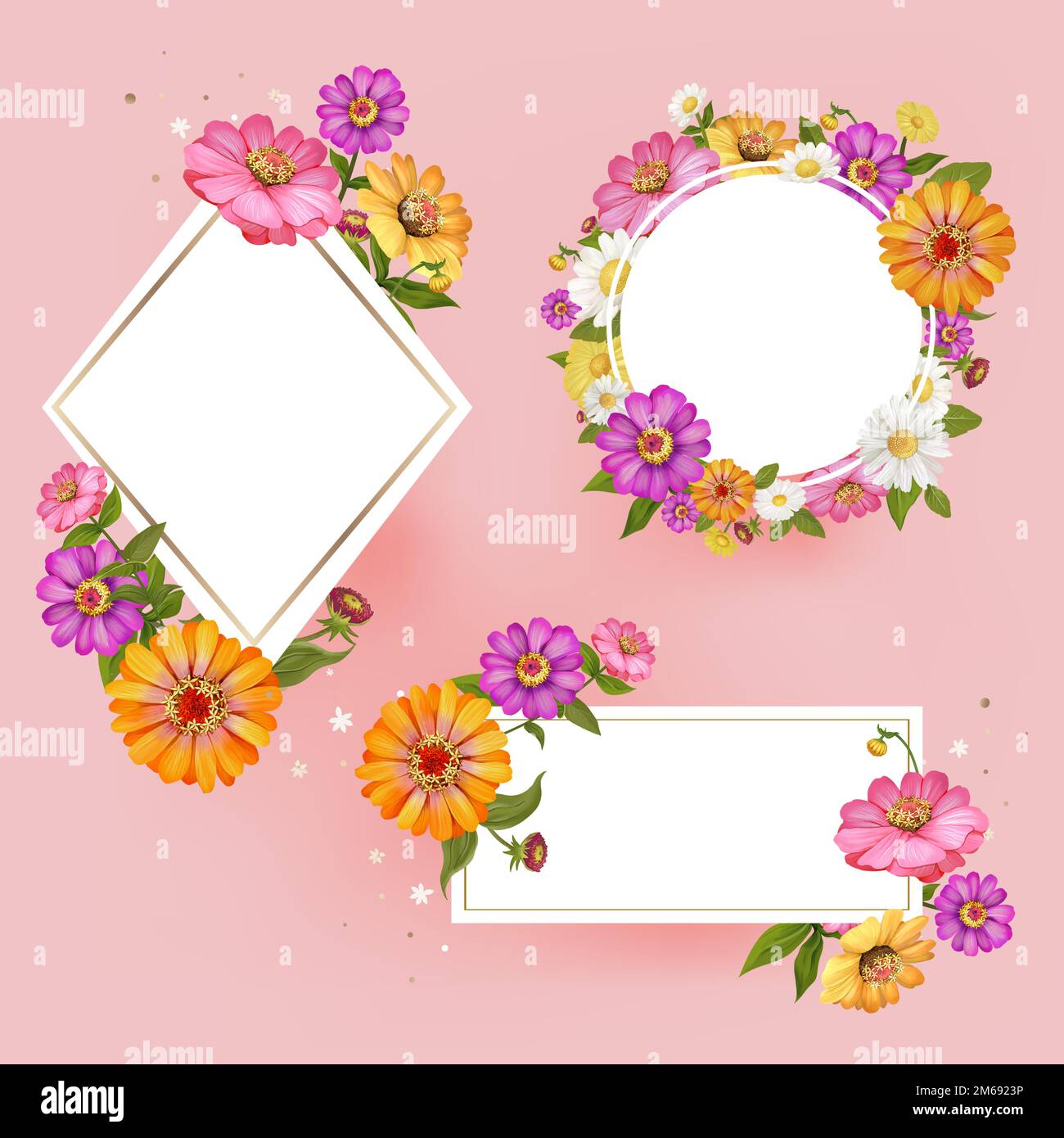 Blank floral frame collection vector Stock Vector Image & Art - Alamy