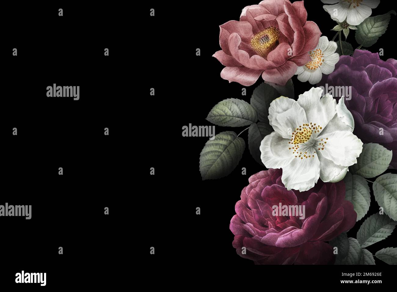 Beautiful hand drawn rose themed border vector Stock Vector Image & Art ...