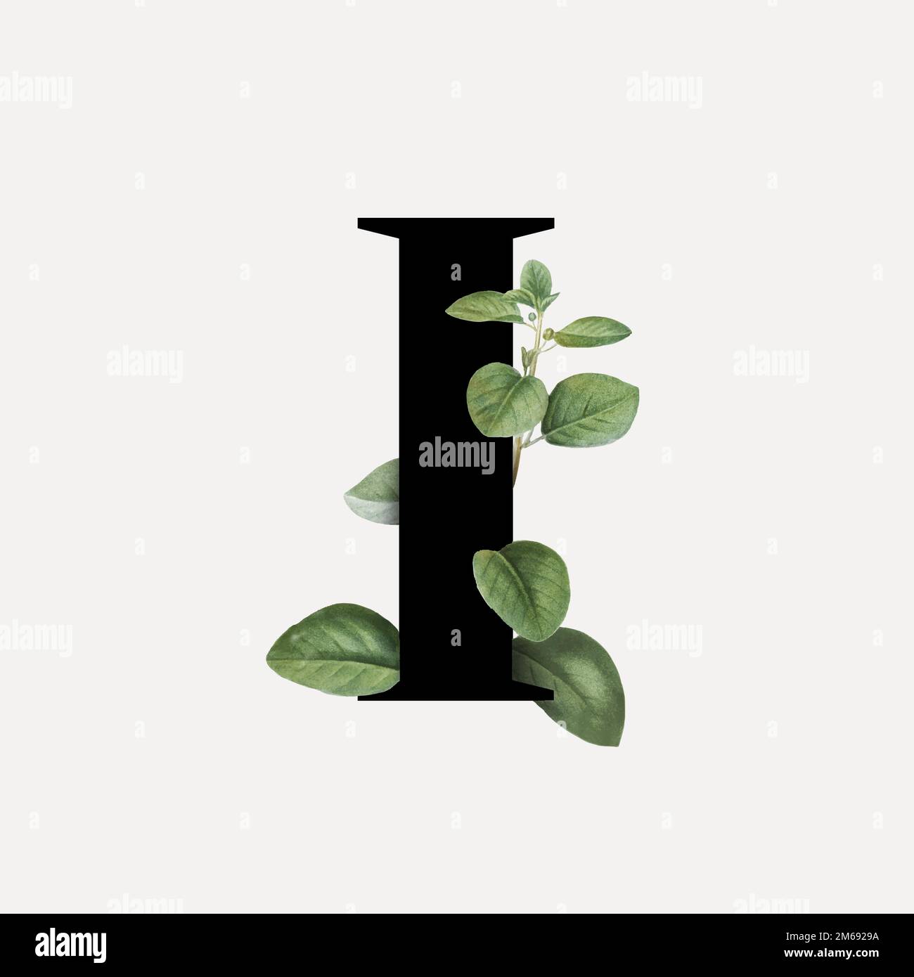 Botanical capital letter I vector Stock Vector Image & Art - Alamy