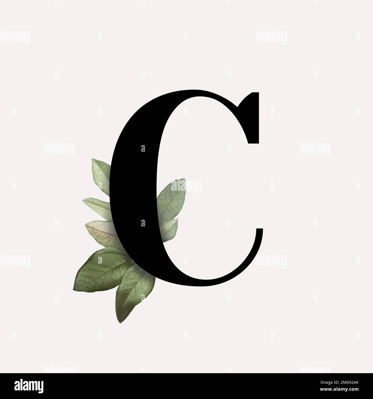 Botanical capital letter C vector Stock Vector Image & Art - Alamy