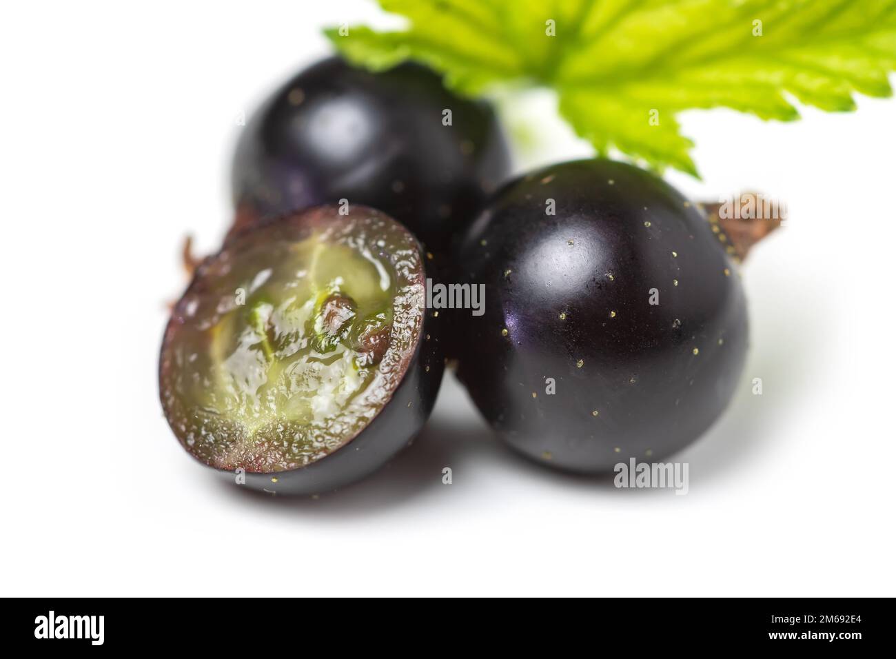 Group of black currants with leaves, one sliced in half Stock Photo - Alamy