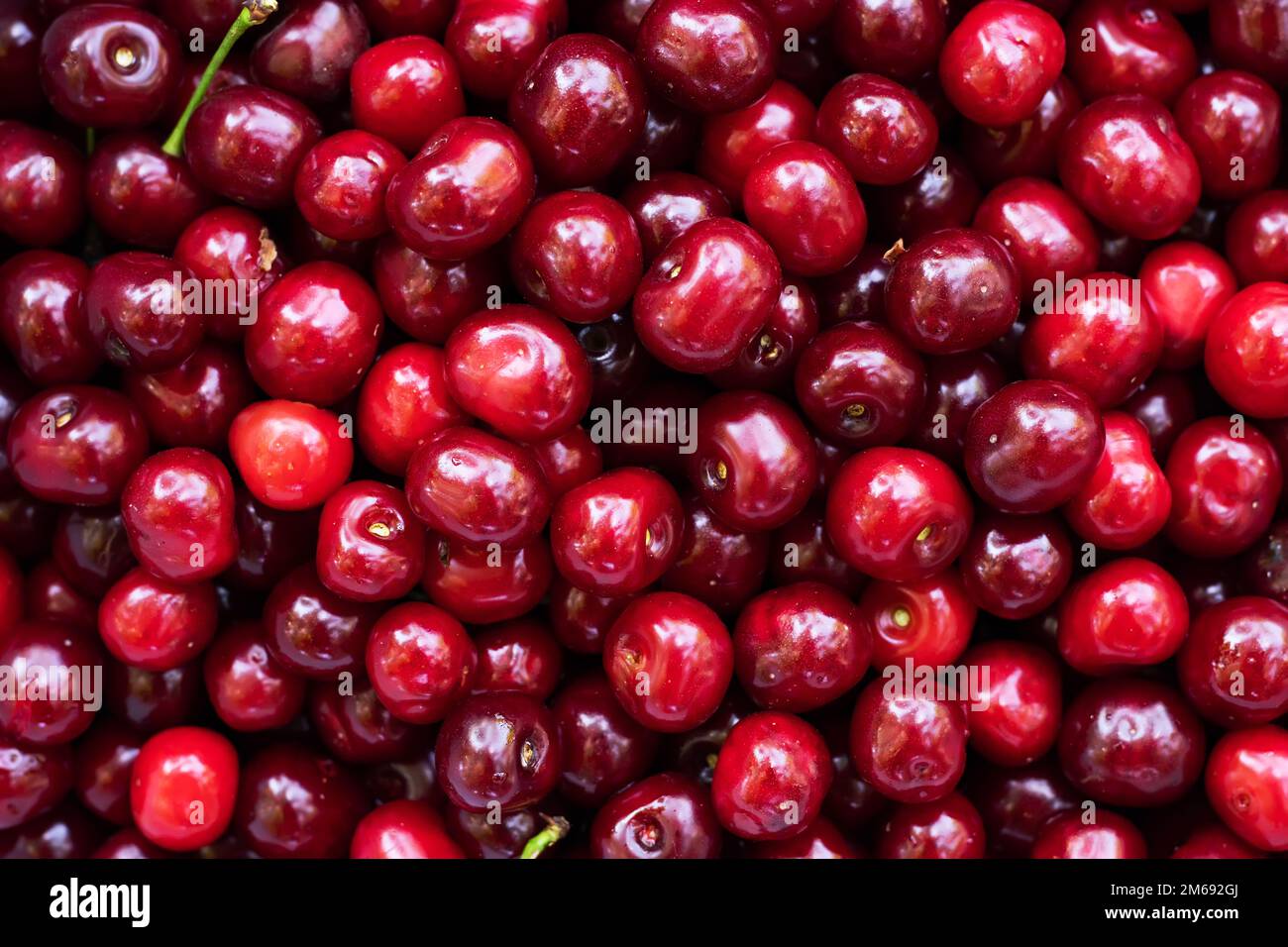 Cherry background. Cherry top view. Sour cherry flat design. Fruit ...