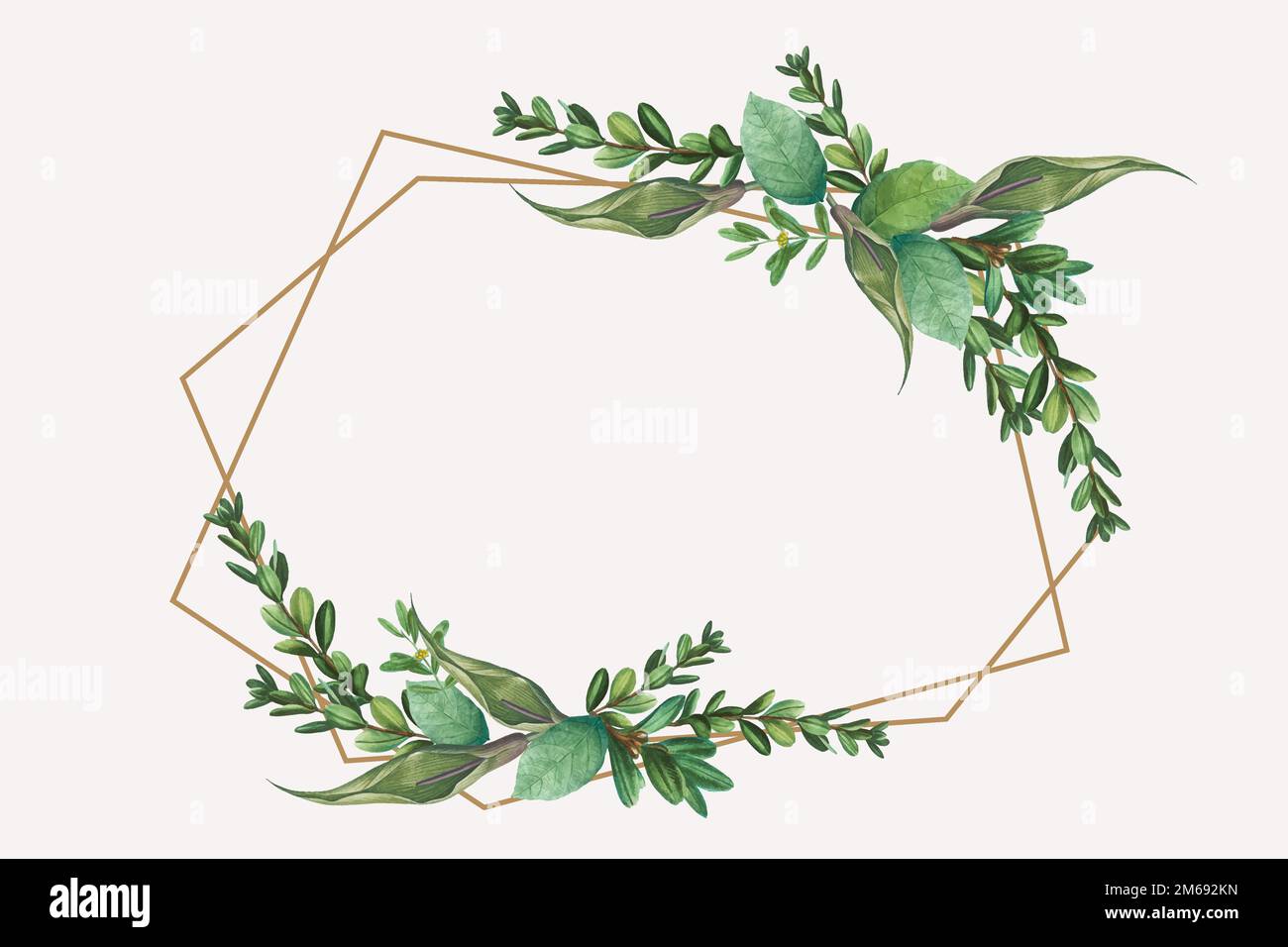 Tropical botanical frame design vector Stock Vector Image & Art - Alamy