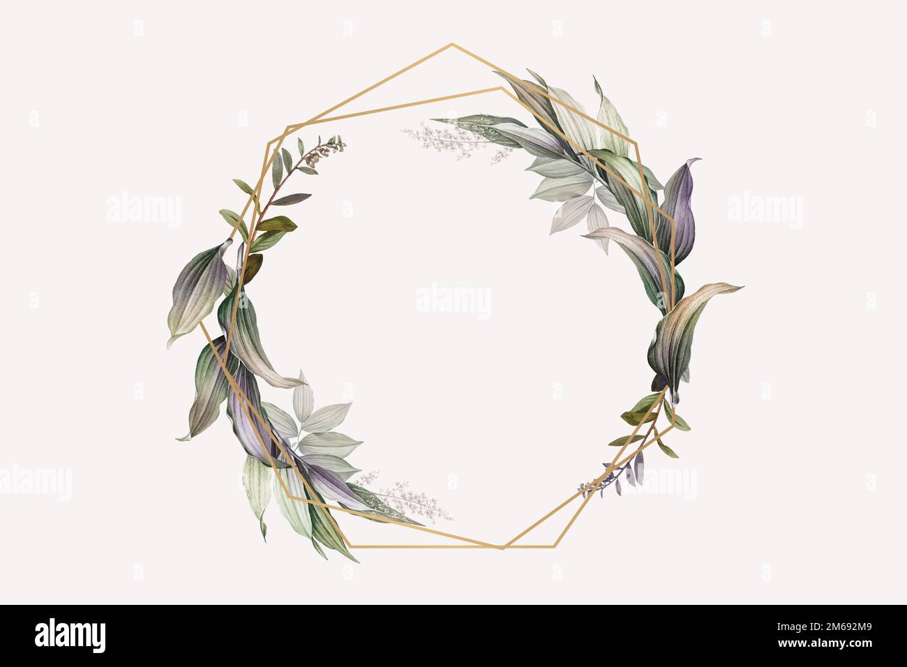 Tropical botanical frame design vector Stock Vector Image & Art - Alamy