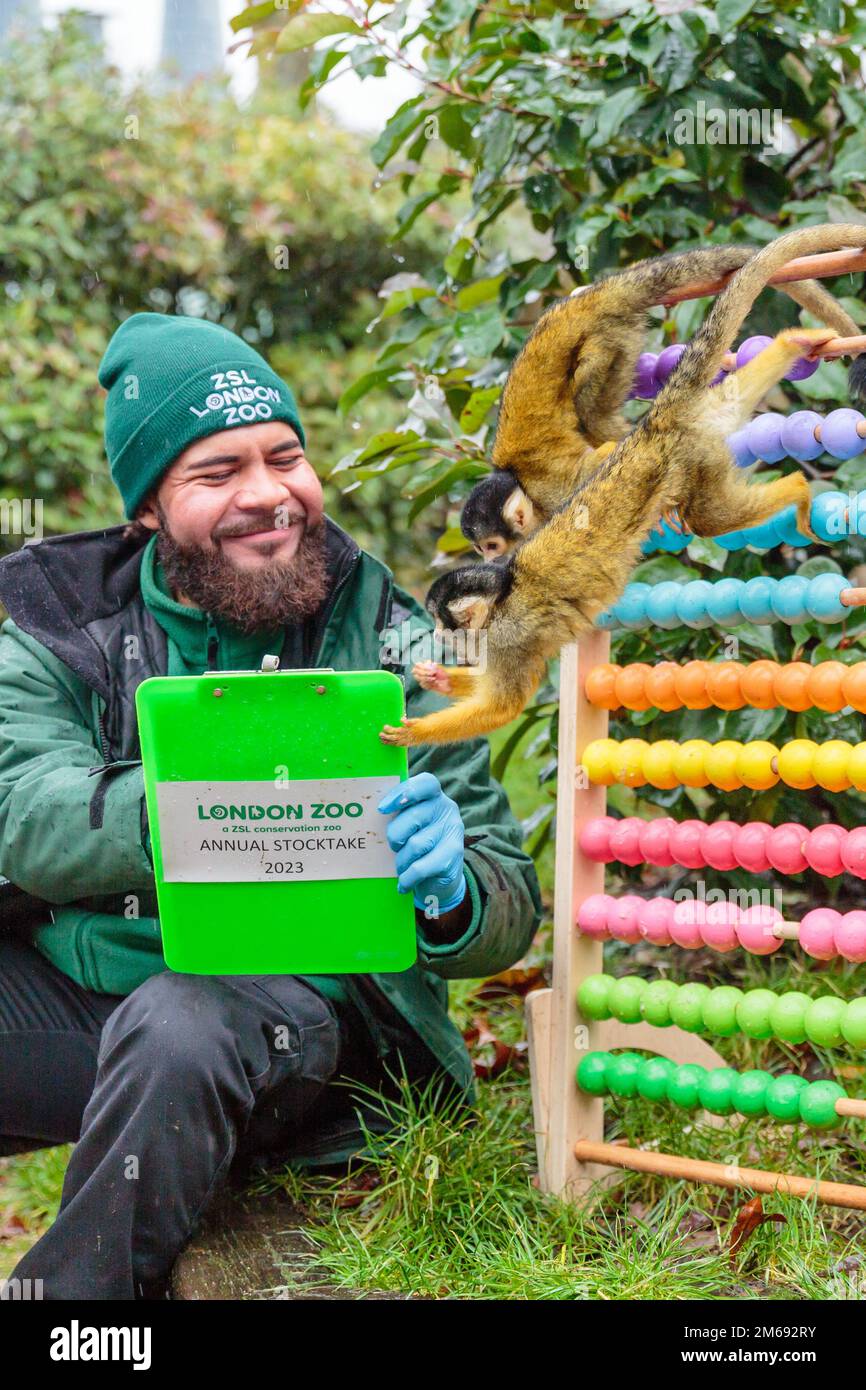 ZSL London Zoo, UK. 3rd January 2023. Zookeepers at ZSL London Zoo ...