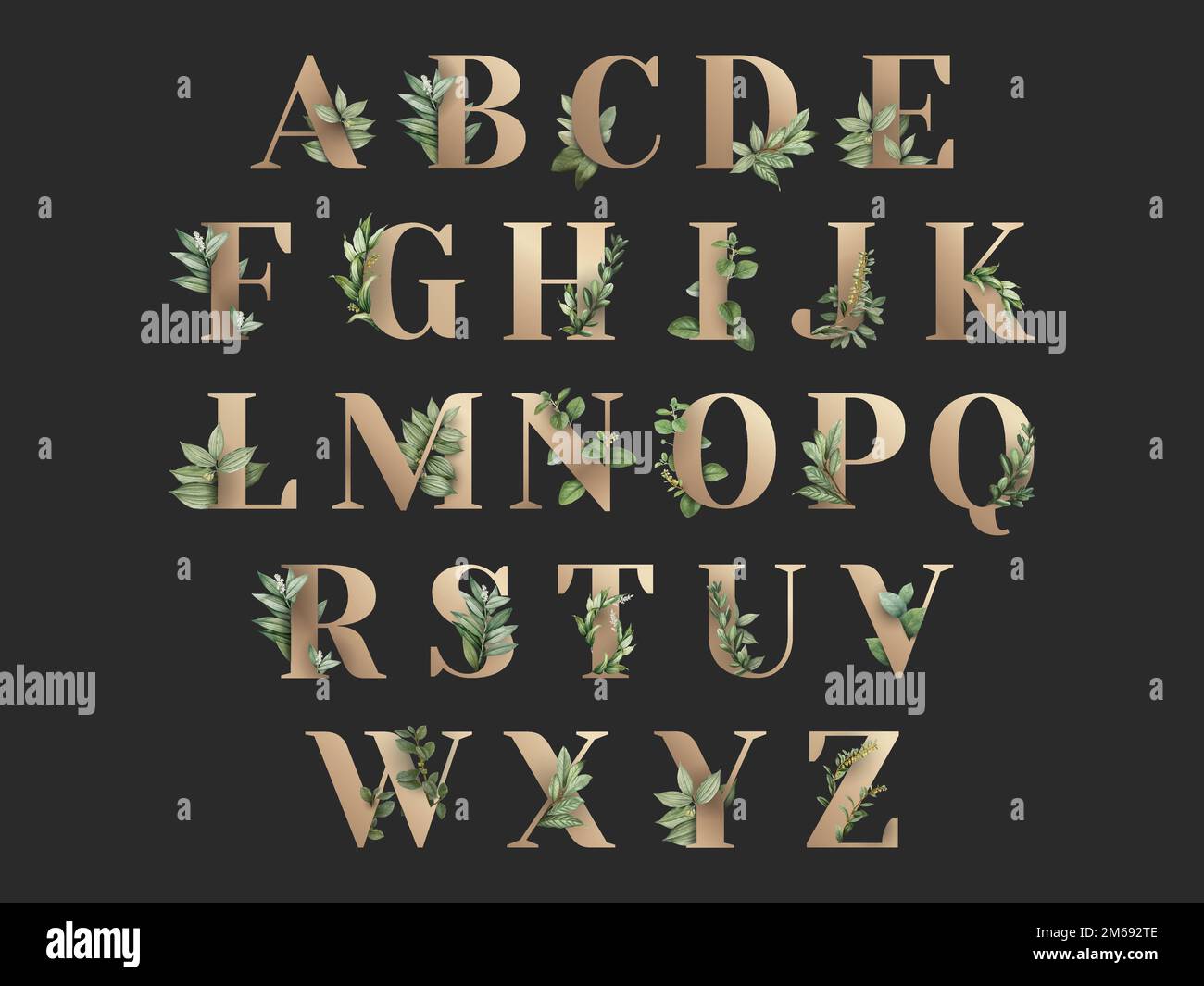 Botanical capital alphabet collection vector Stock Vector Image & Art ...