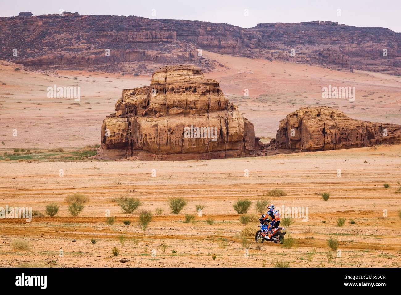 131 VAQUERO Sergio (spa), KTM Namura Bikes, KTM, Moto, action during ...