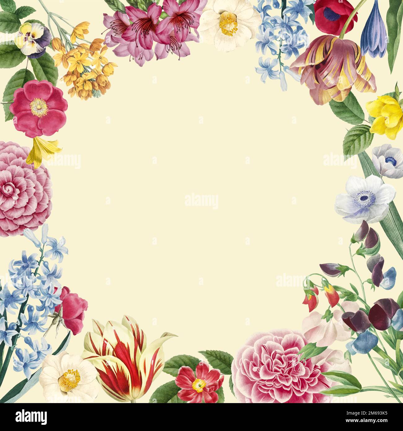 Blank floral frame design vector Stock Vector Image & Art - Alamy