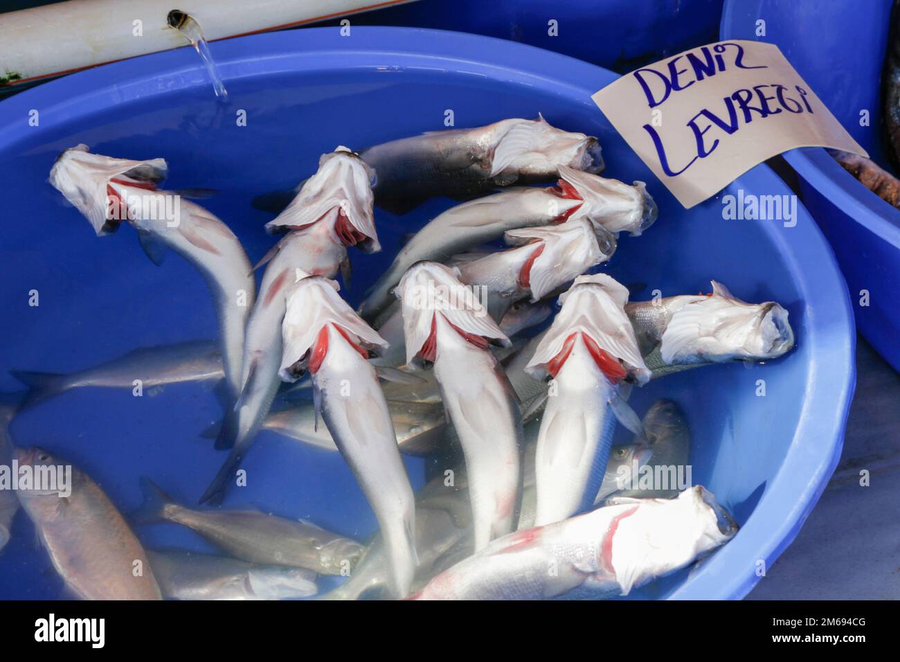 Istanbul fresh seafood hi-res stock photography and images - Alamy