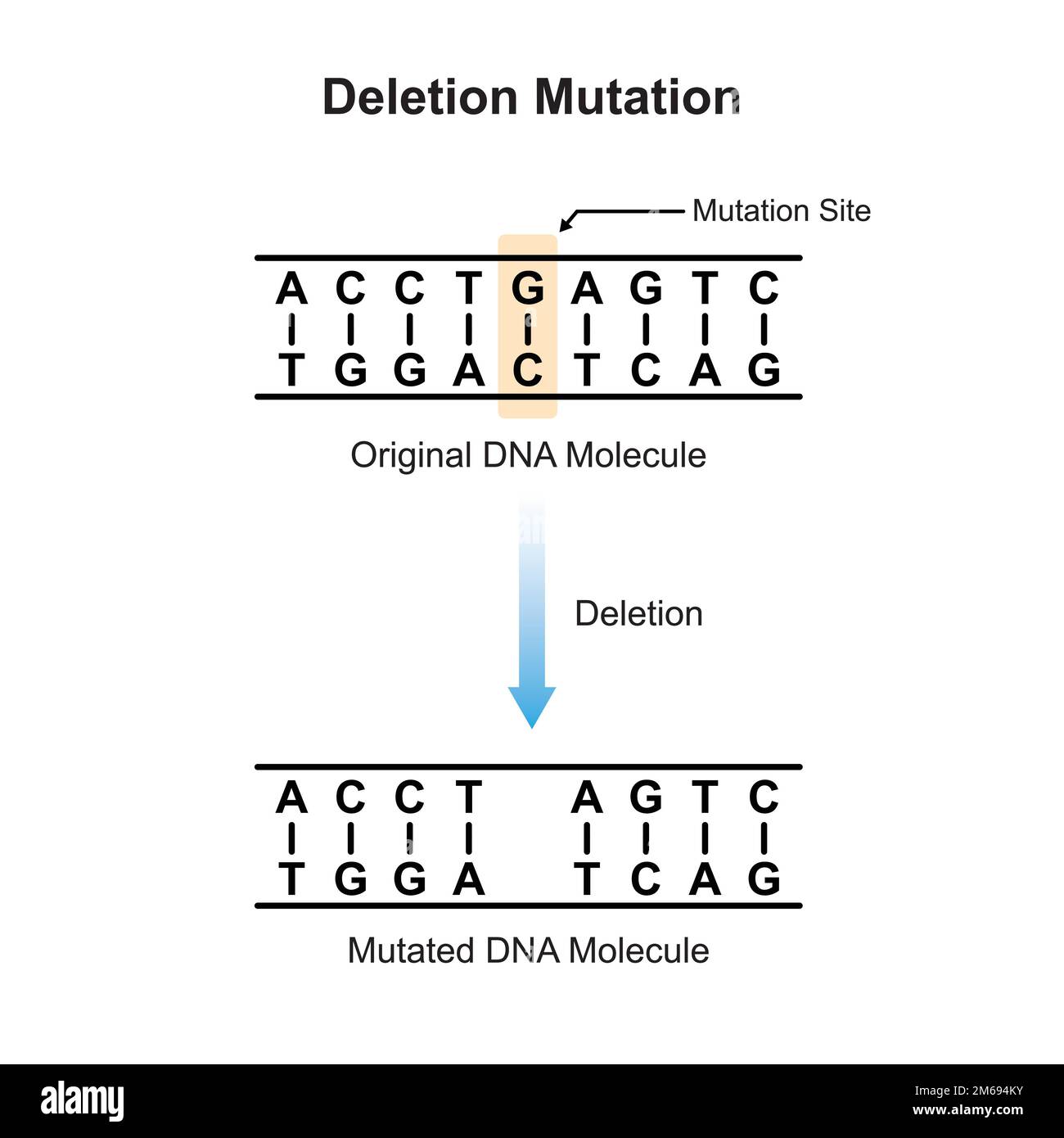 Deletion Definition
