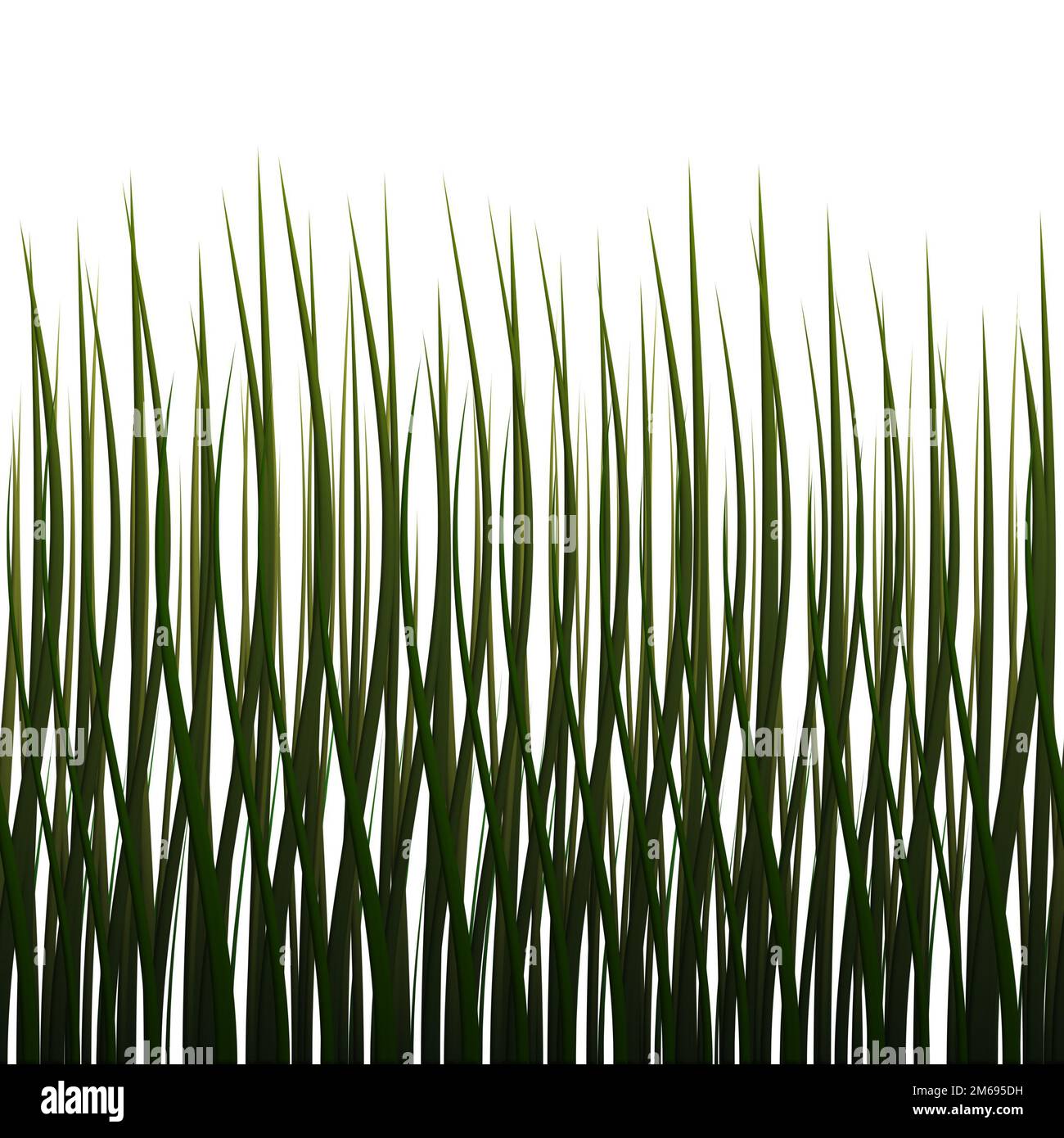 Herb drawing hi-res stock photography and images - Alamy