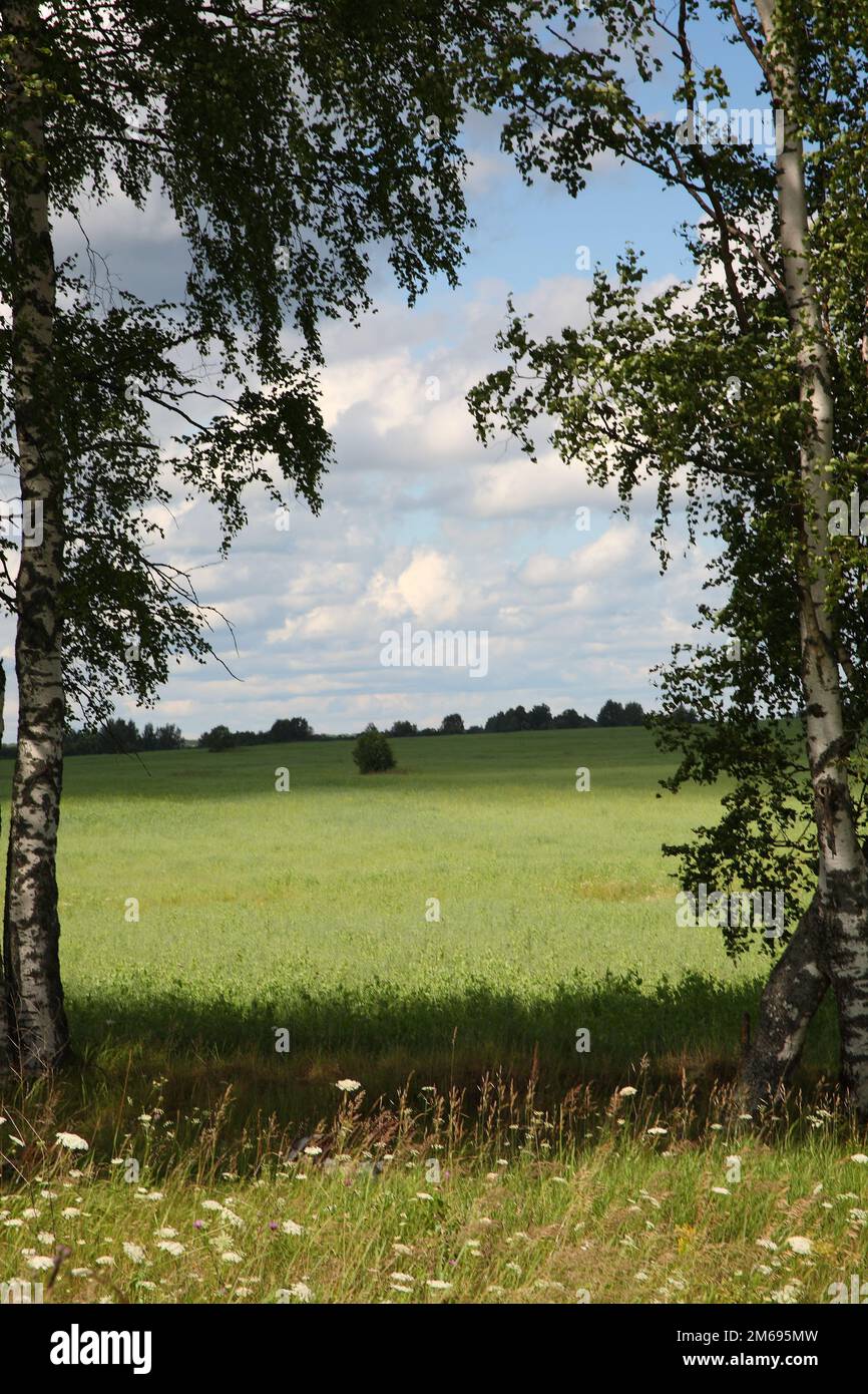 Entry in field Stock Photo - Alamy