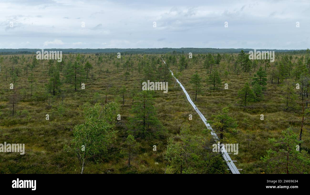 rainy day, rainy background, traditional bog landscape, wet wooden ...