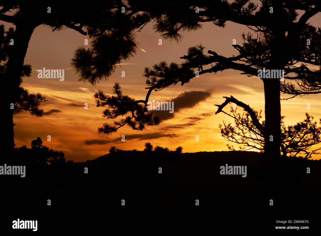 Purple sunset silhoutte hi-res stock photography and images - Alamy