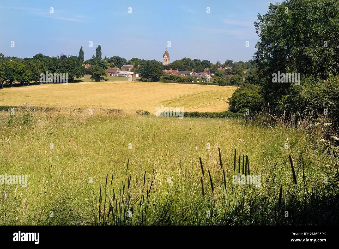 Hawkley and Hawkley Church as seen from the Hanger Stock Photo - Alamy
