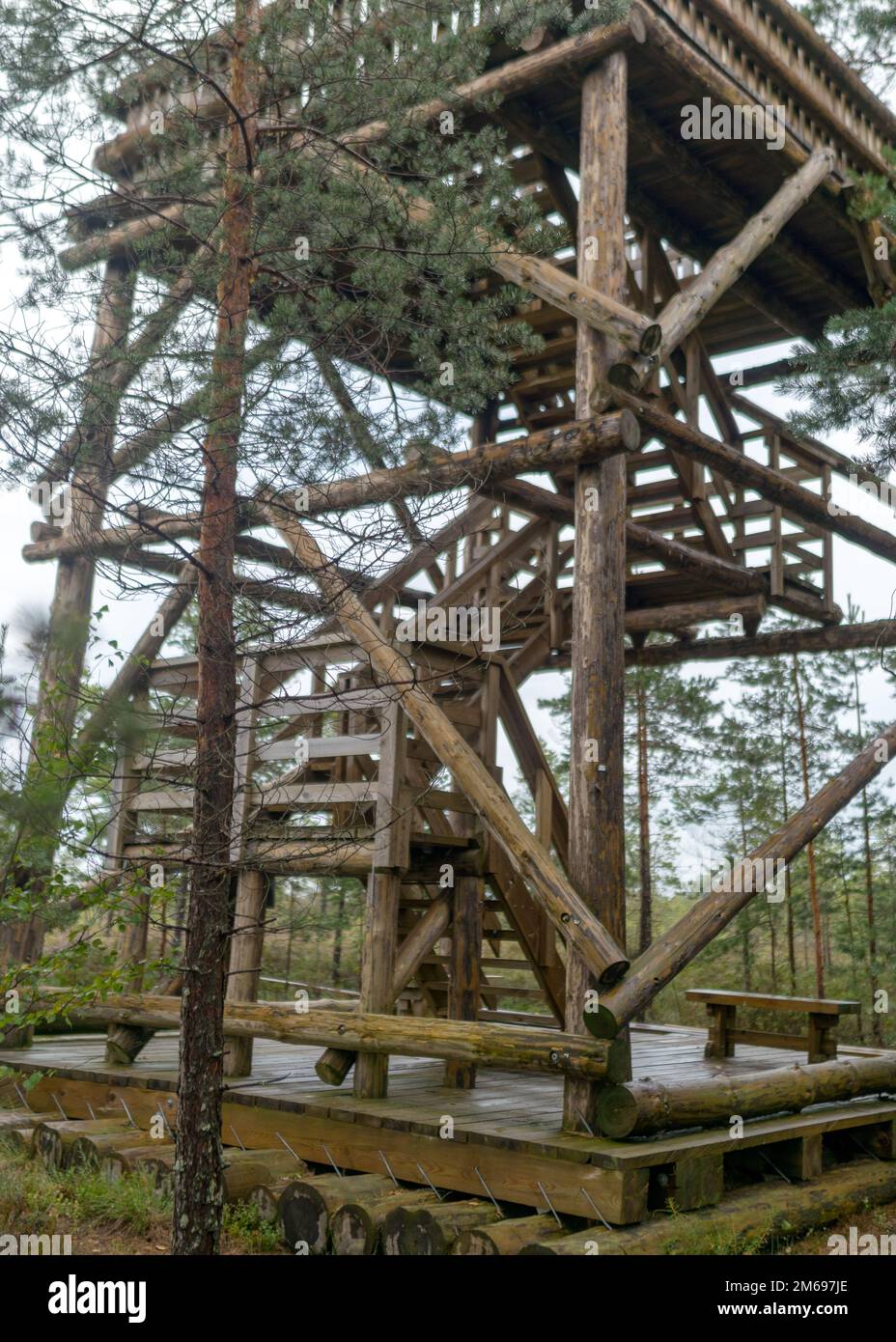 rainy day, rainy background, traditional bog landscape, wooden lookout ...