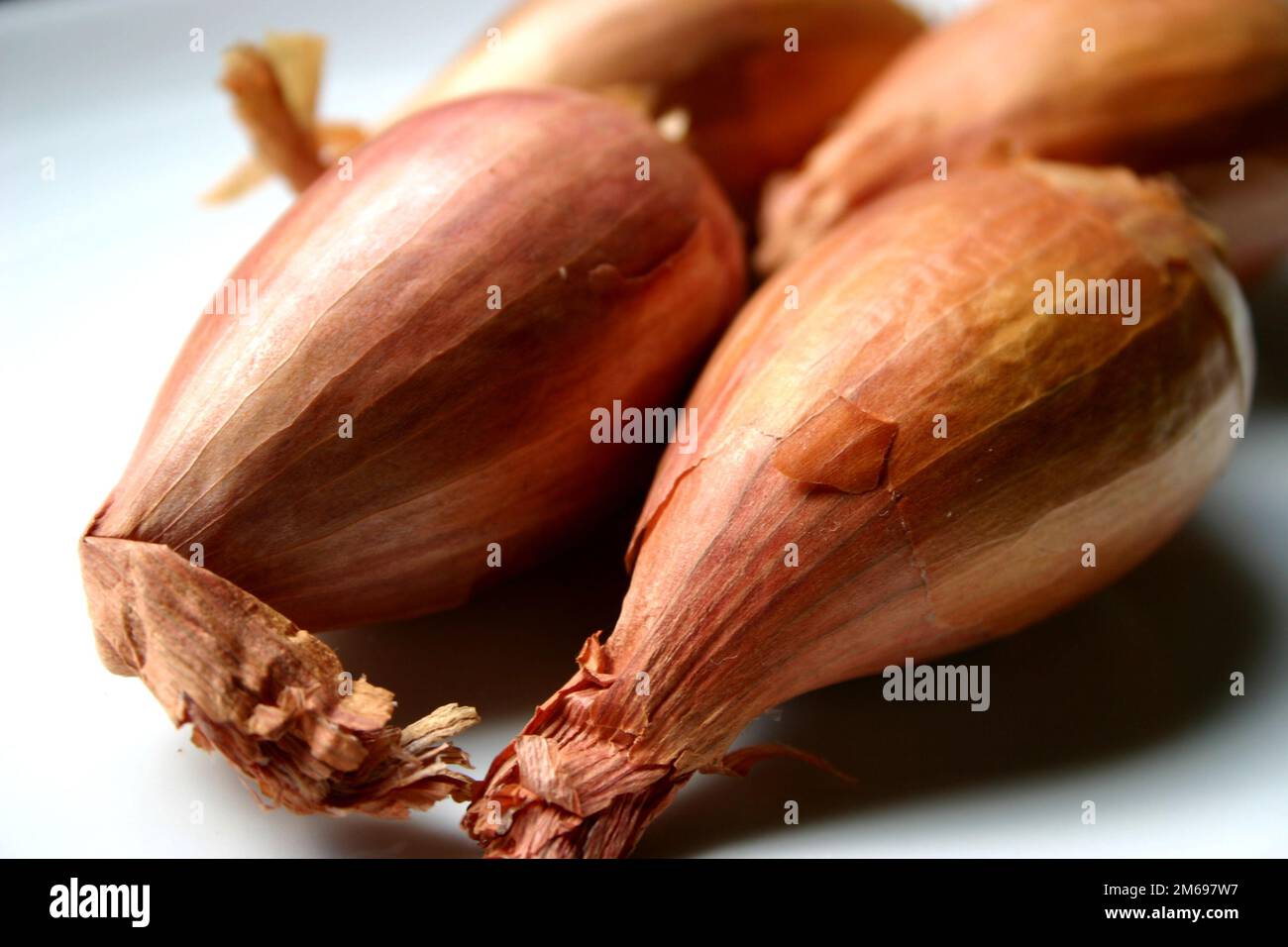 Shallots spring onions hi-res stock photography and images - Alamy